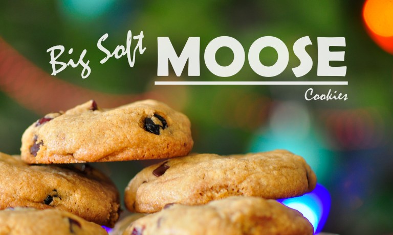 Big Soft Moose Cookies – the vegetarian ginger